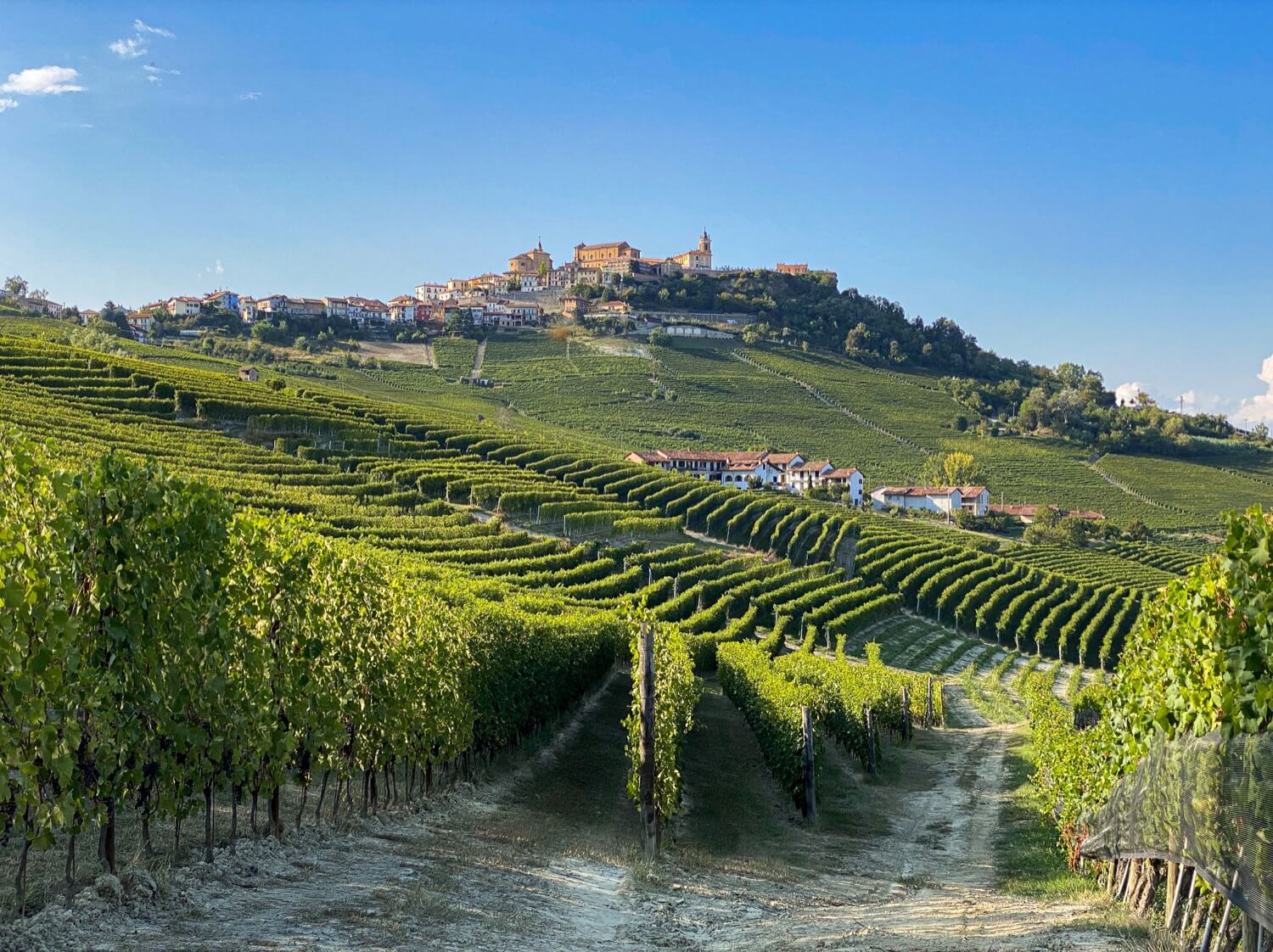 La Morra // Langhe e Roero — Una fotografa in viaggio