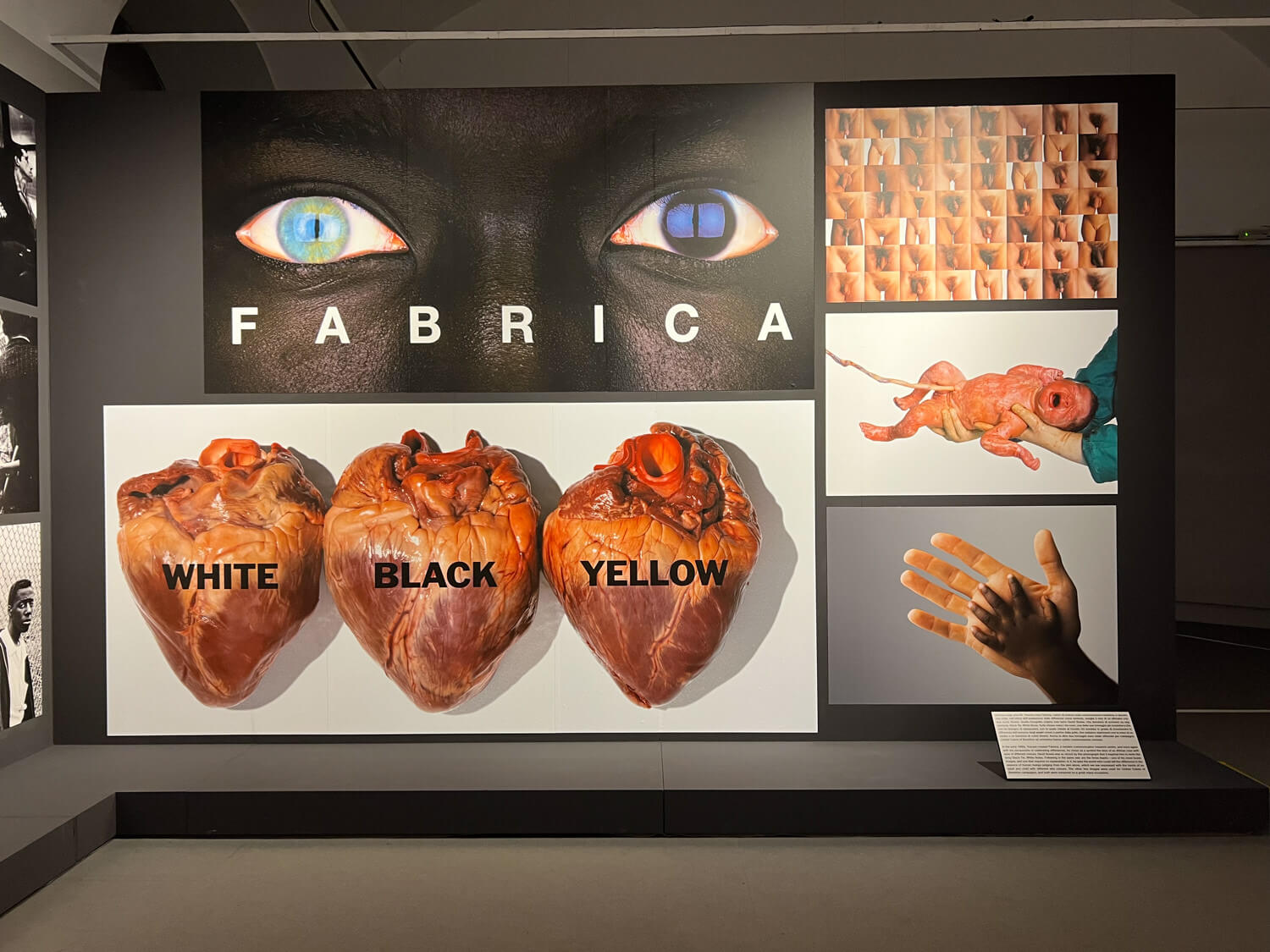 FOTOGRAFI// OLIVIERO TOSCANI, fotografia e provocazione — Una fotografa ...